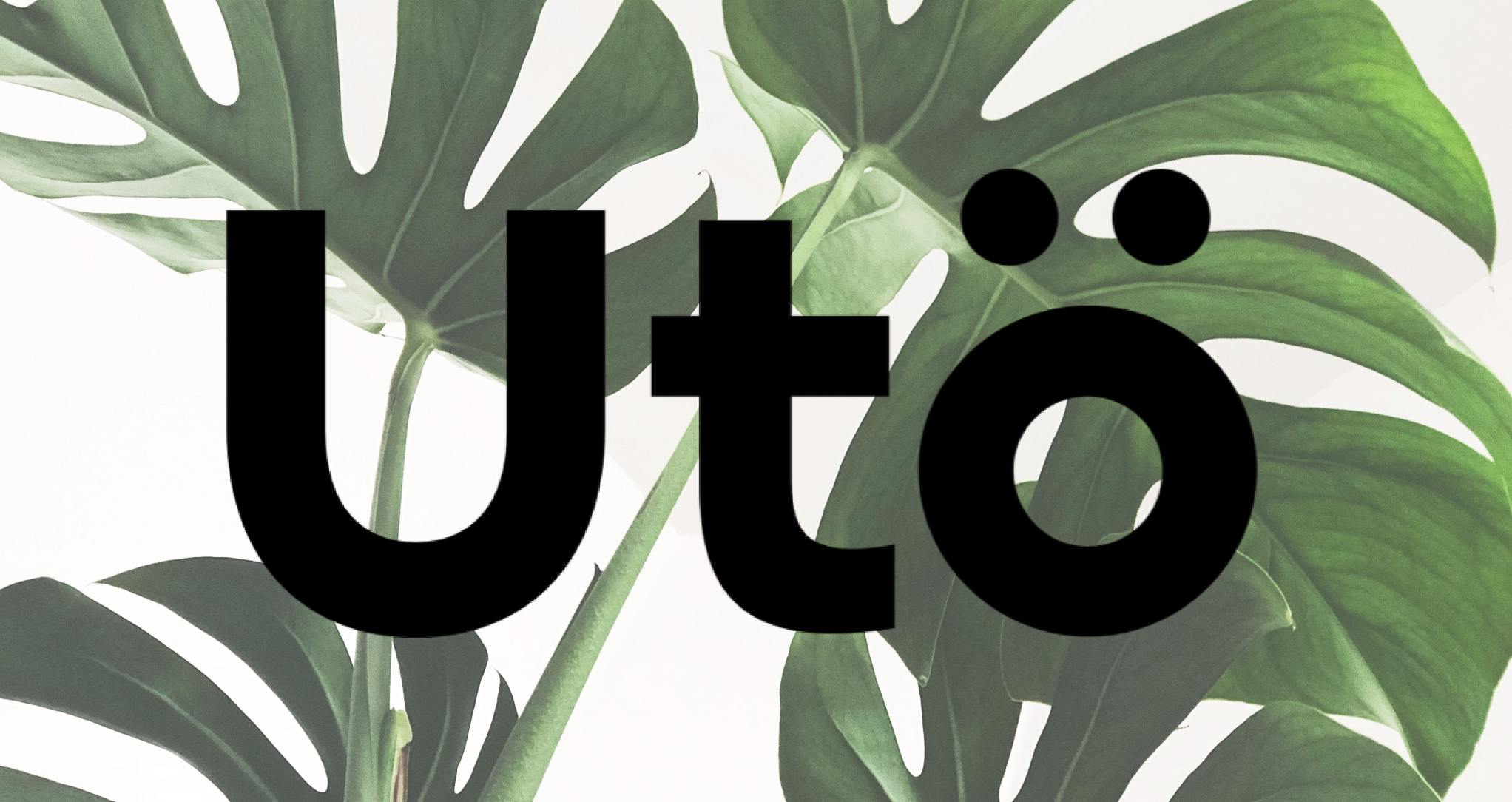 Utö Font Simon Web Design Simon Urbina